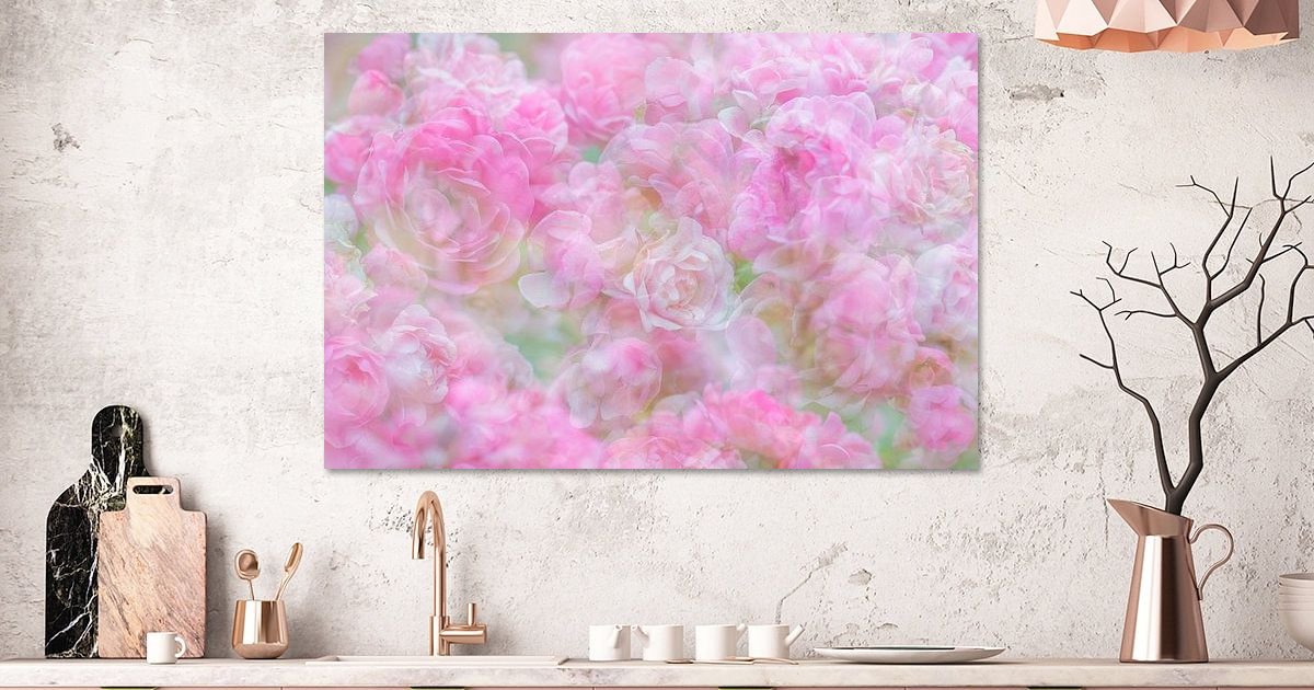 Dromerige roze rozen van Francis Dost op canvas, behang en meer