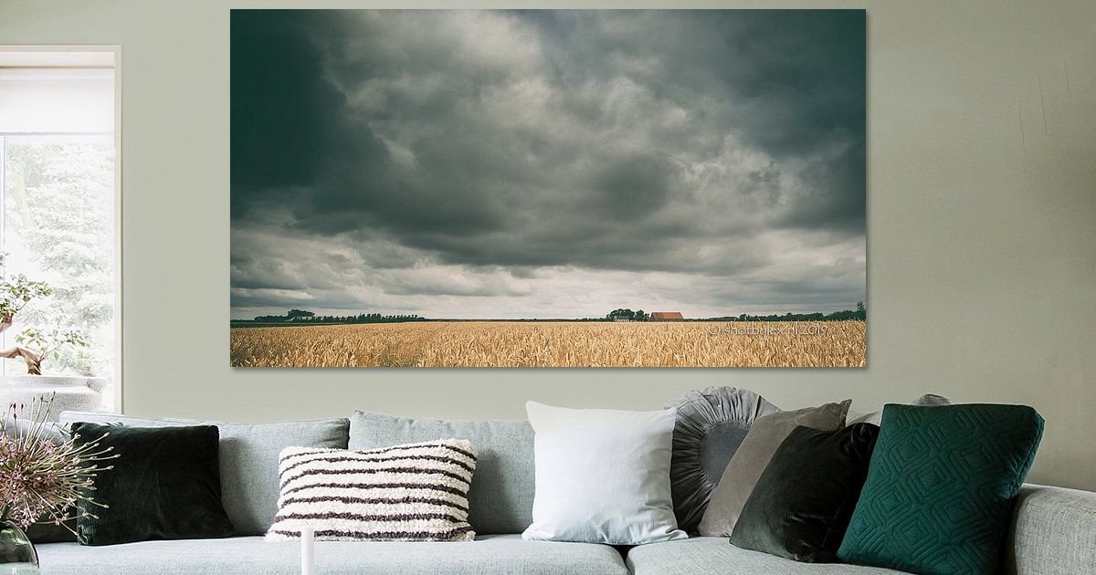 Gouden graanveld (kleur) van Lex Schulte op canvas, behang en meer