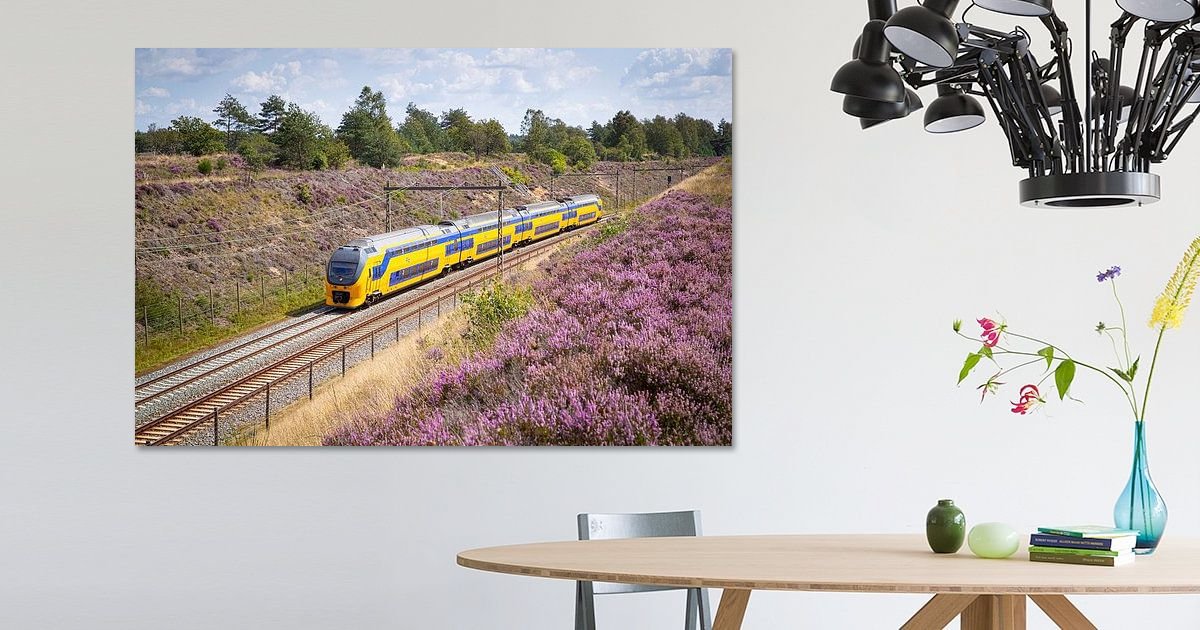 Een dubbeldekker trein langs de heide bij Halte Assel van Stefan ...