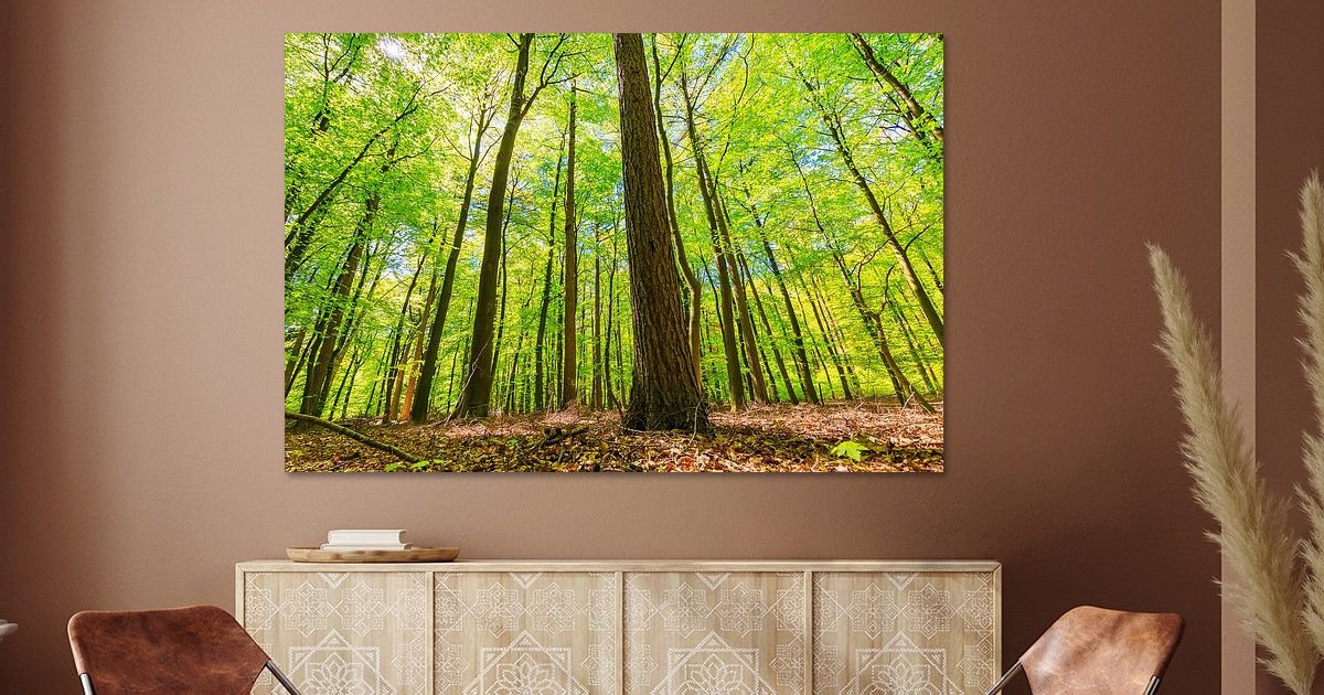 Door de bomen het bos niet meer zien van Sander Meertins op canvas ...