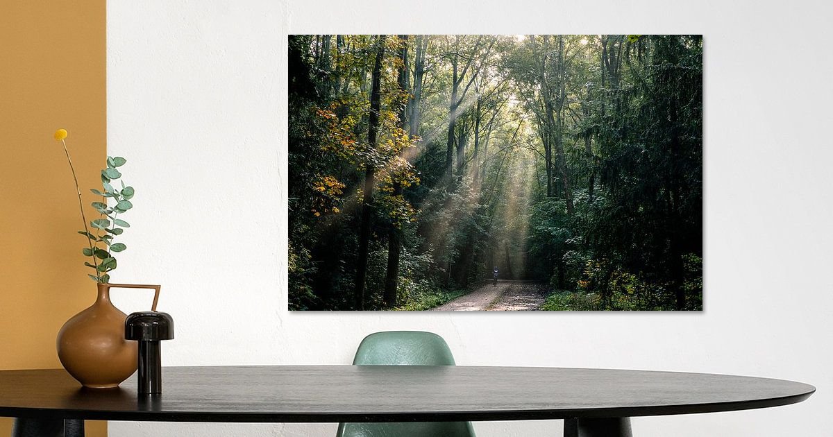 Strijklicht in Amsterdamse bos van Romy Oomen op canvas, behang en meer