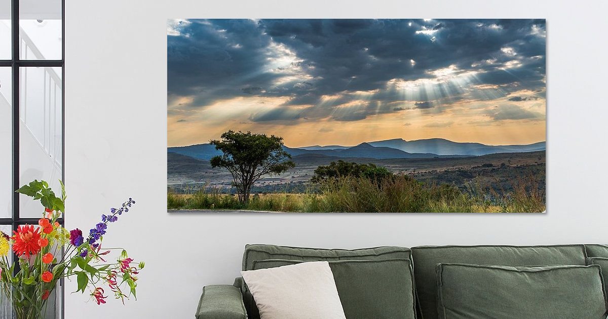 Limpopo Wall Art on canvas, poster and more