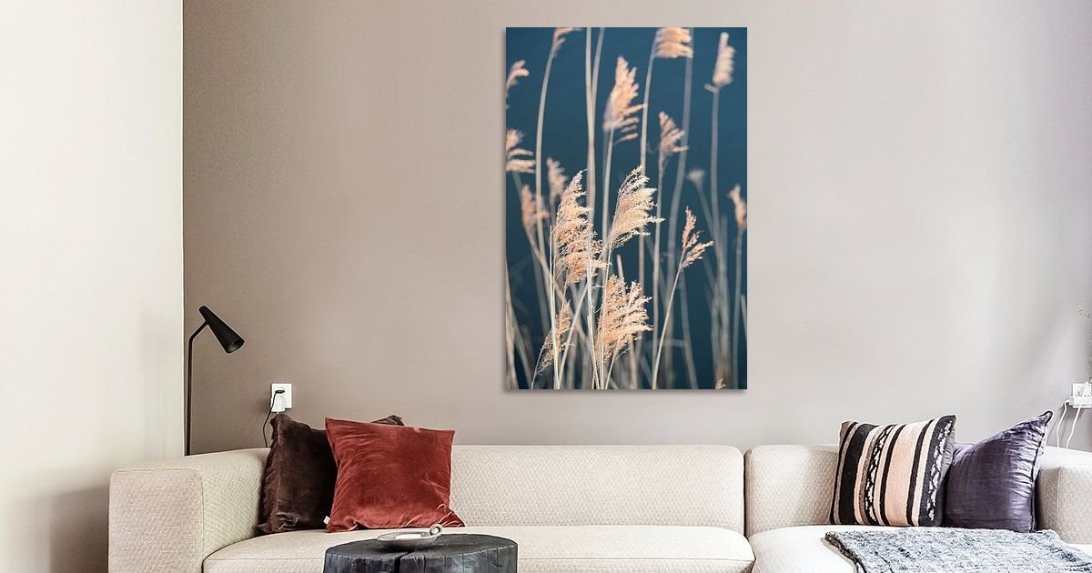 Wuivend riet - rietpluimen aan het water van Ellen Metz op canvas ...