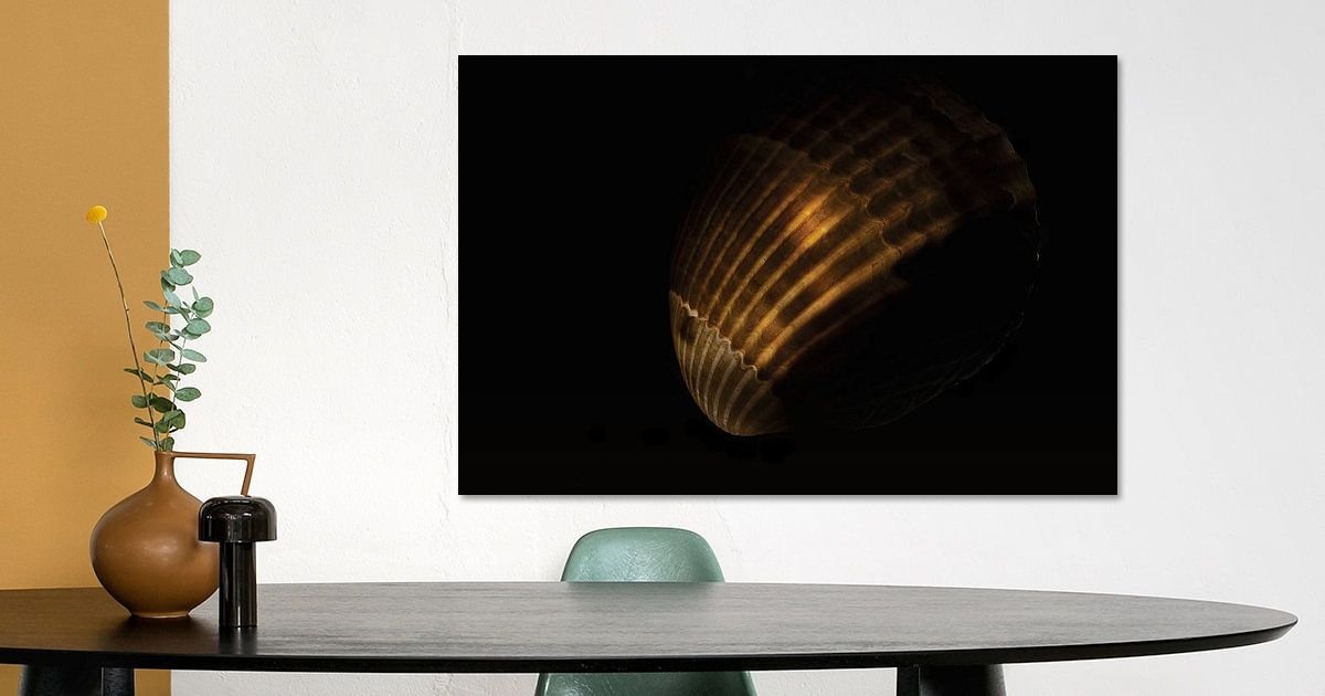 Mooie Rimpel (huid) kunst op canvas, behang en meer