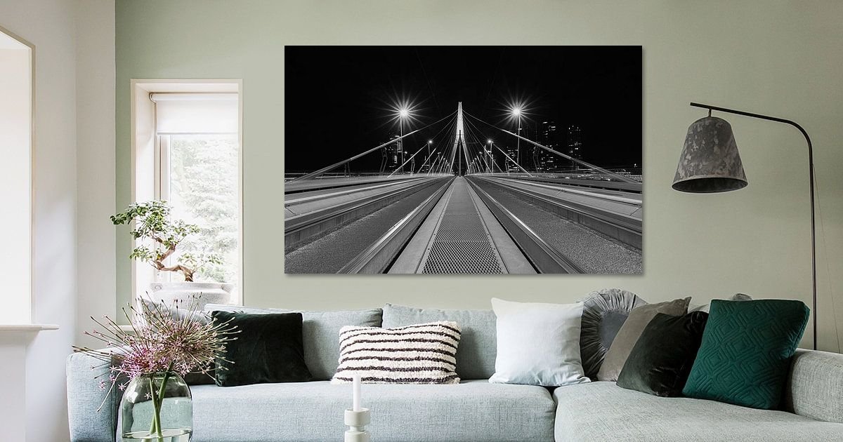 The Erasmus Bridge in Rotterdam from a unique point of view by MS ...