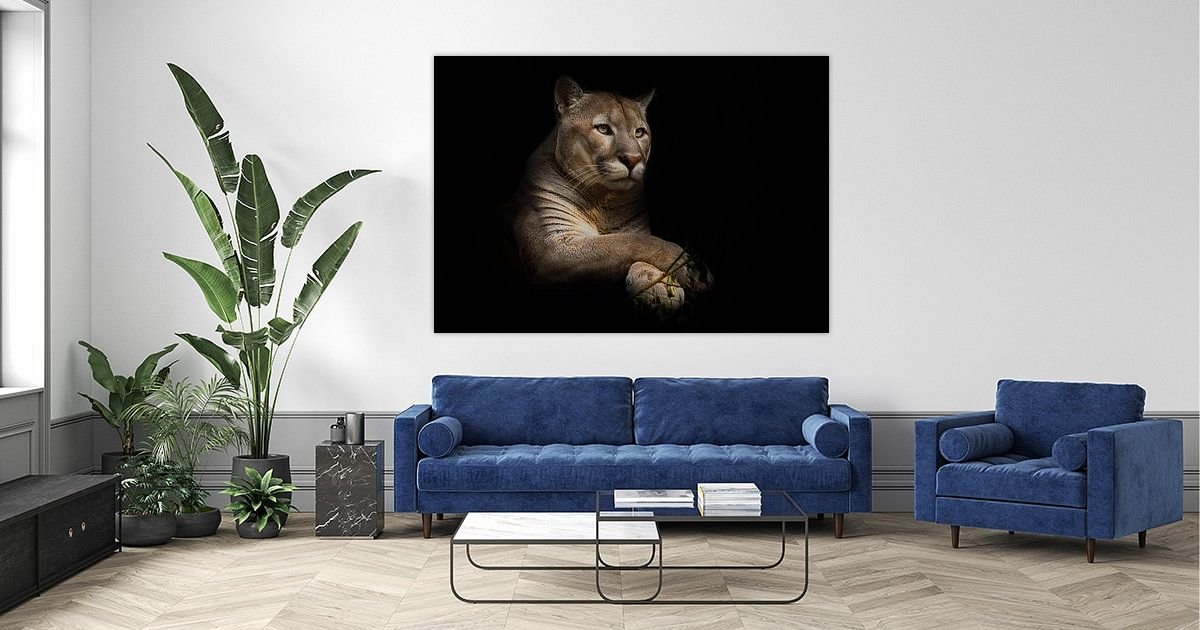 Een trotse mooie roofkat zit in de duisternis. kat in het nachtbos ...