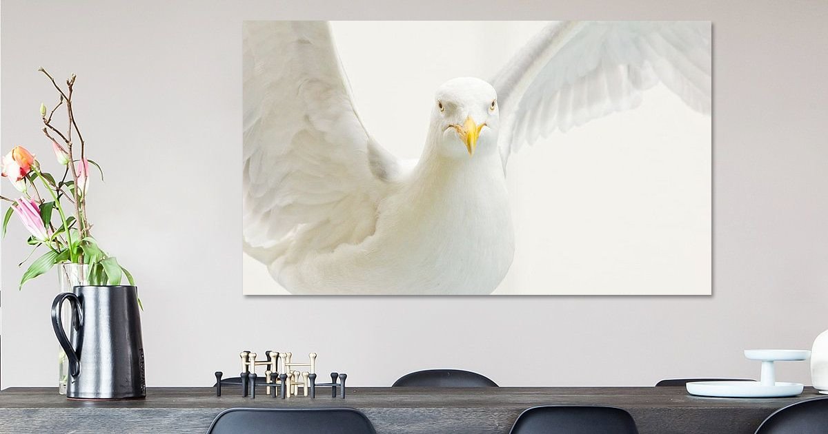 Meeuw van Anne Koop op canvas, behang en meer