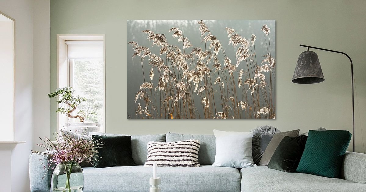 Wuivend riet van Marian Sintemaartensdijk op canvas, behang en meer