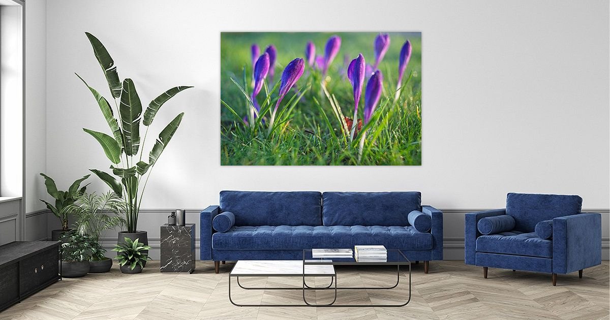 Classic Krokus van Arthur de Groot op canvas, behang en meer