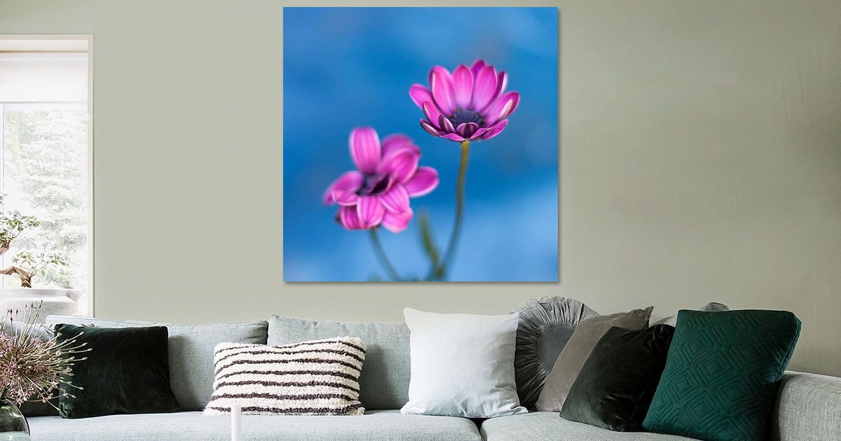 Bloem (3) van Rob van der Pijll op canvas, behang en meer