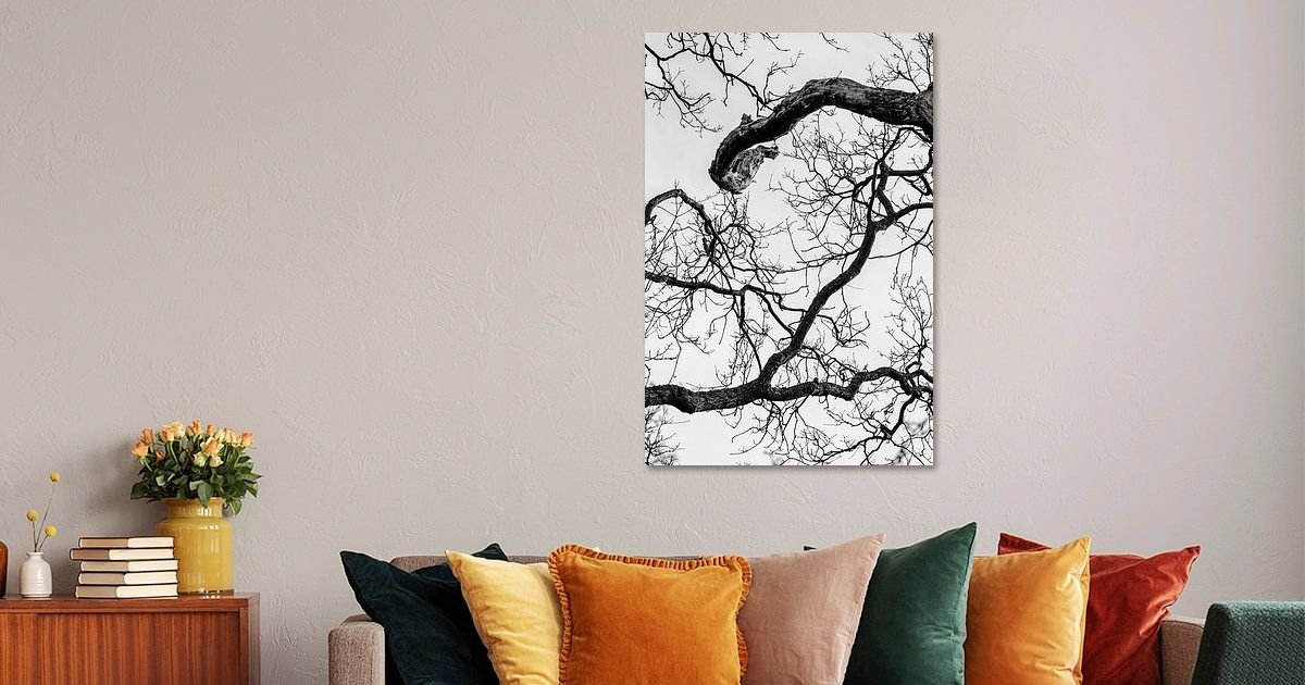 Boom van Myrthe Vlasveld op canvas, behang en meer