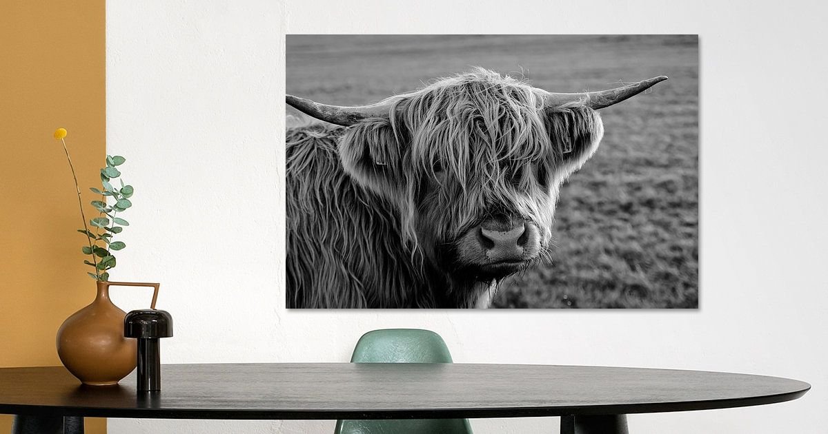 Highlander-Kuh sieht aufdringlich aus; in schwarz-weiß Poster - Atelier ...