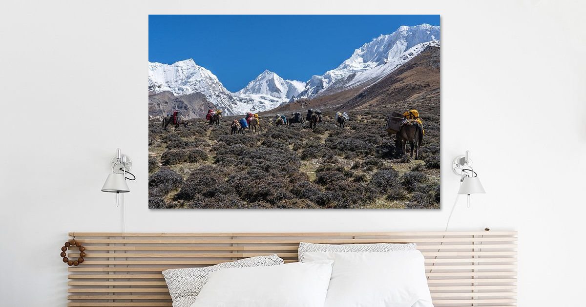 Muildier/muilezel op canvas, behang en meer bestellen