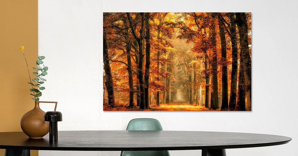 Order Beautiful Forest Art as Wall Art | Art Heroes