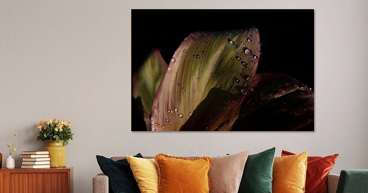 Druppels op een roze / groen blad van Ellis Peeters op canvas, behang ...