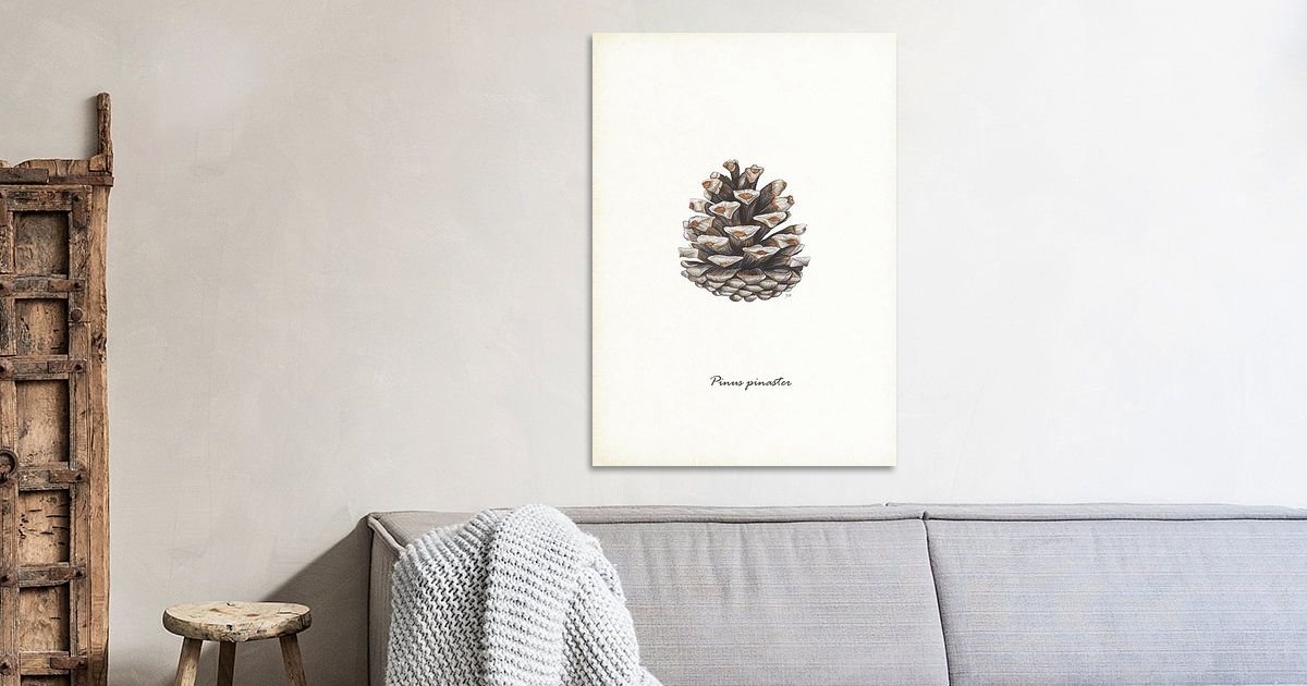 Zeeden (dennenappel) van Jasper de Ruiter op canvas, behang en meer