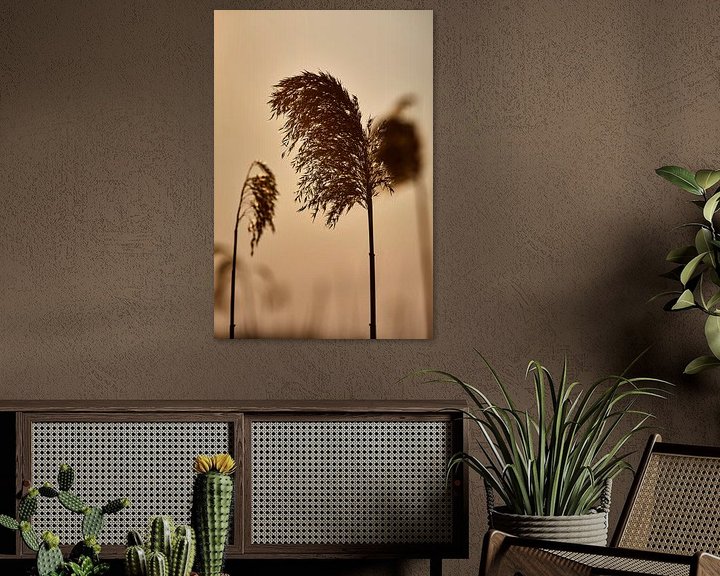 Zomerriet van Graham Forrester op canvas, behang en meer