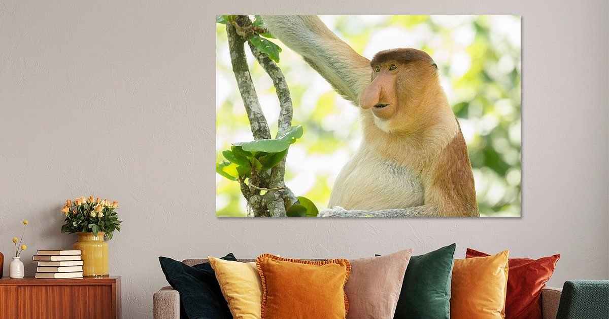 Neusaap van Elles Rijsdijk op canvas, behang en meer