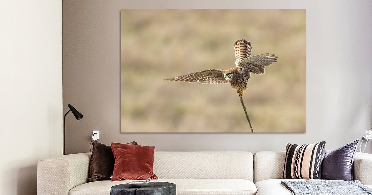 Balancing van Sander Meertins op canvas, behang en meer