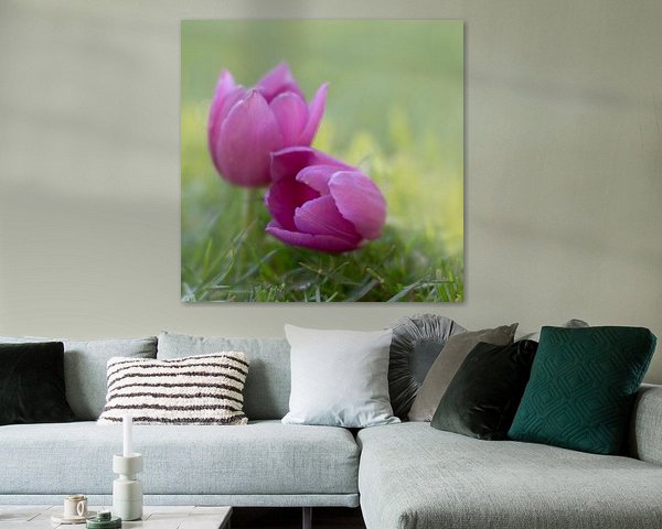 Simone Koster Wandbilder bestellen