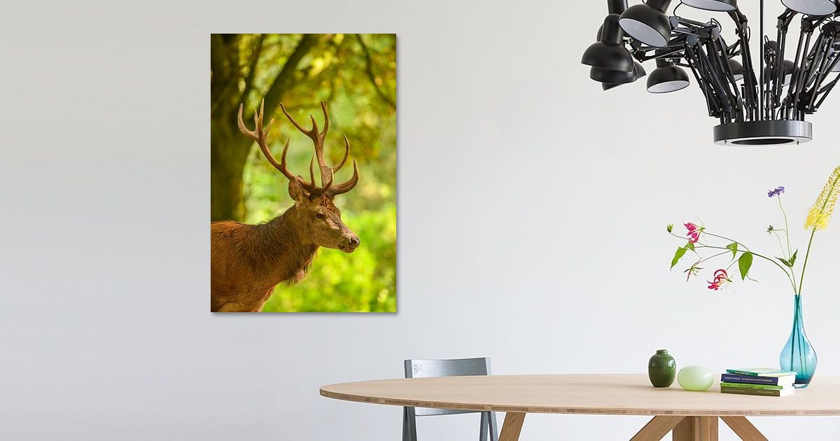 Edelhert in het bos tijdens de herfst van Sjoerd van der Wal Fotografie ...