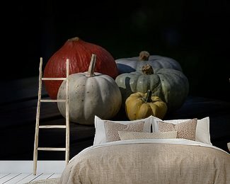 Stilleven van Hans Kool op canvas, behang en meer