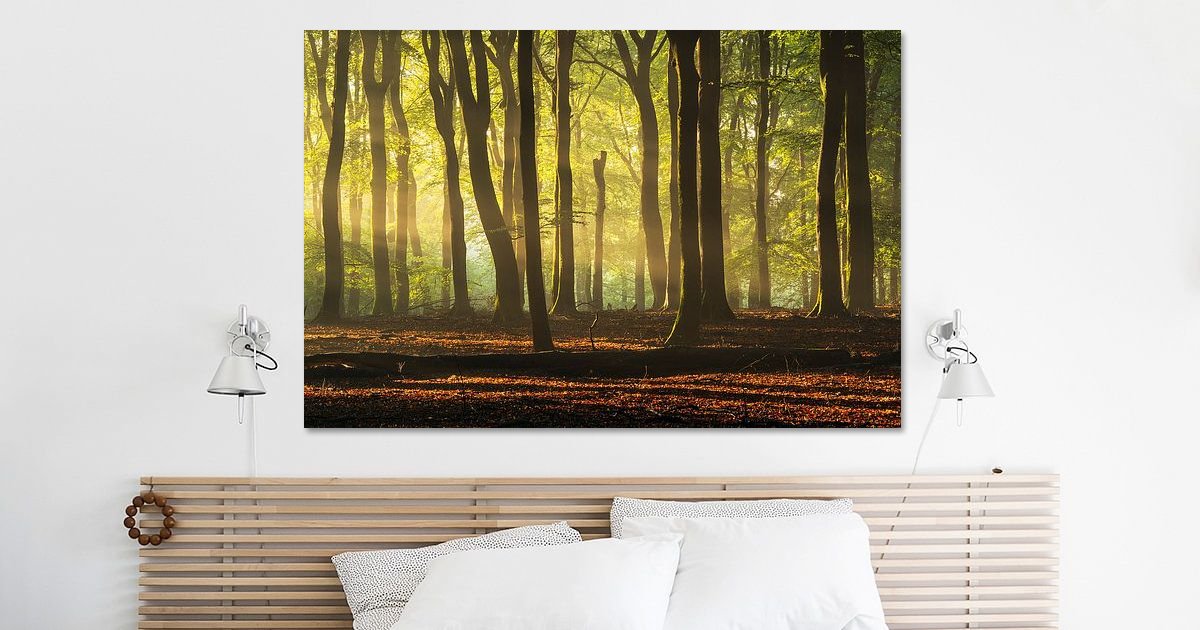 Lichtstralen Veluwe beuken bos van Rick Kloekke op canvas, behang en meer