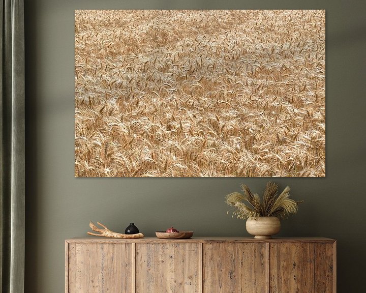 Graanveld in Normandie, Frankrijk van Christa Stroo fotografie op ...