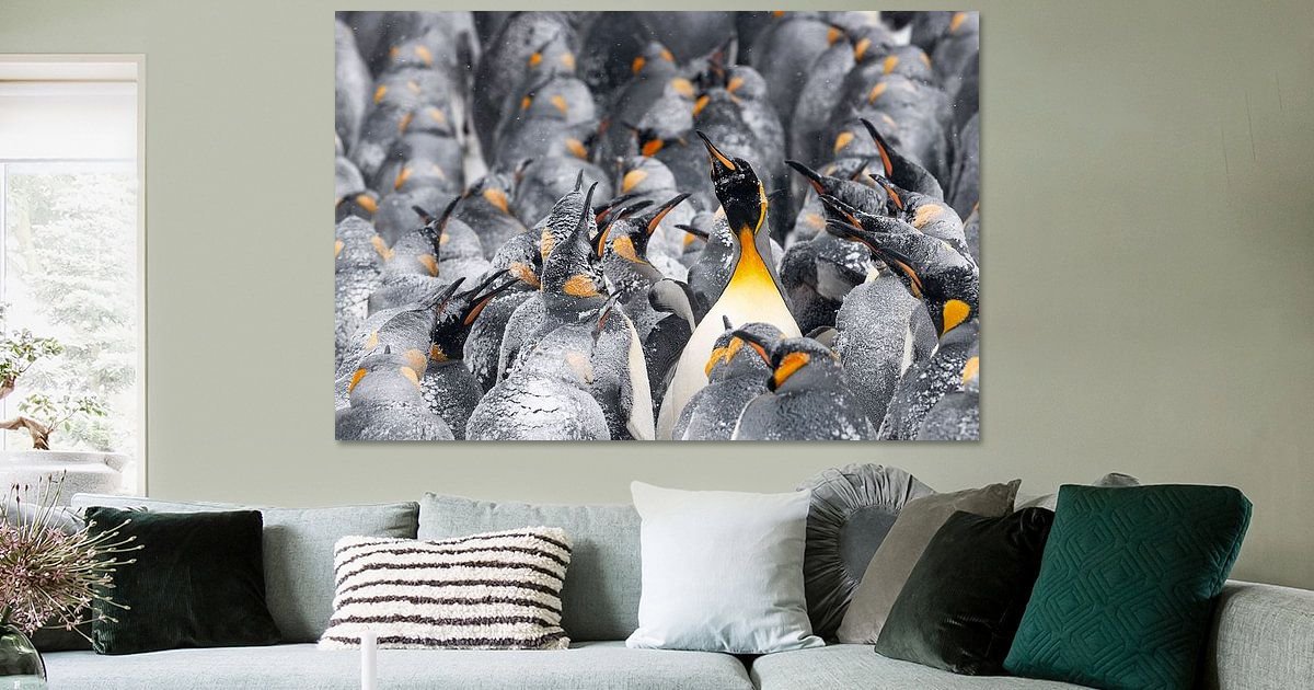 Königspinguin in Schwierigkeiten von Jos van Bommel auf ArtFrame ...