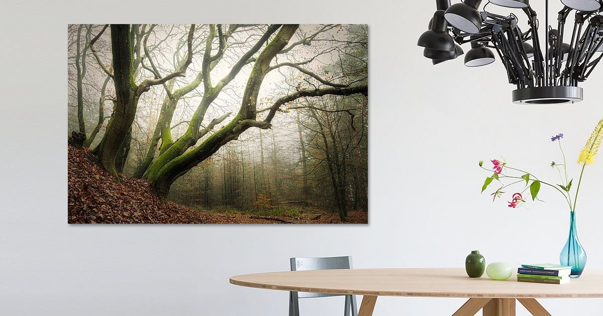 Misty Forest | Speulderbos van Bob Vandenberg op canvas, behang en meer