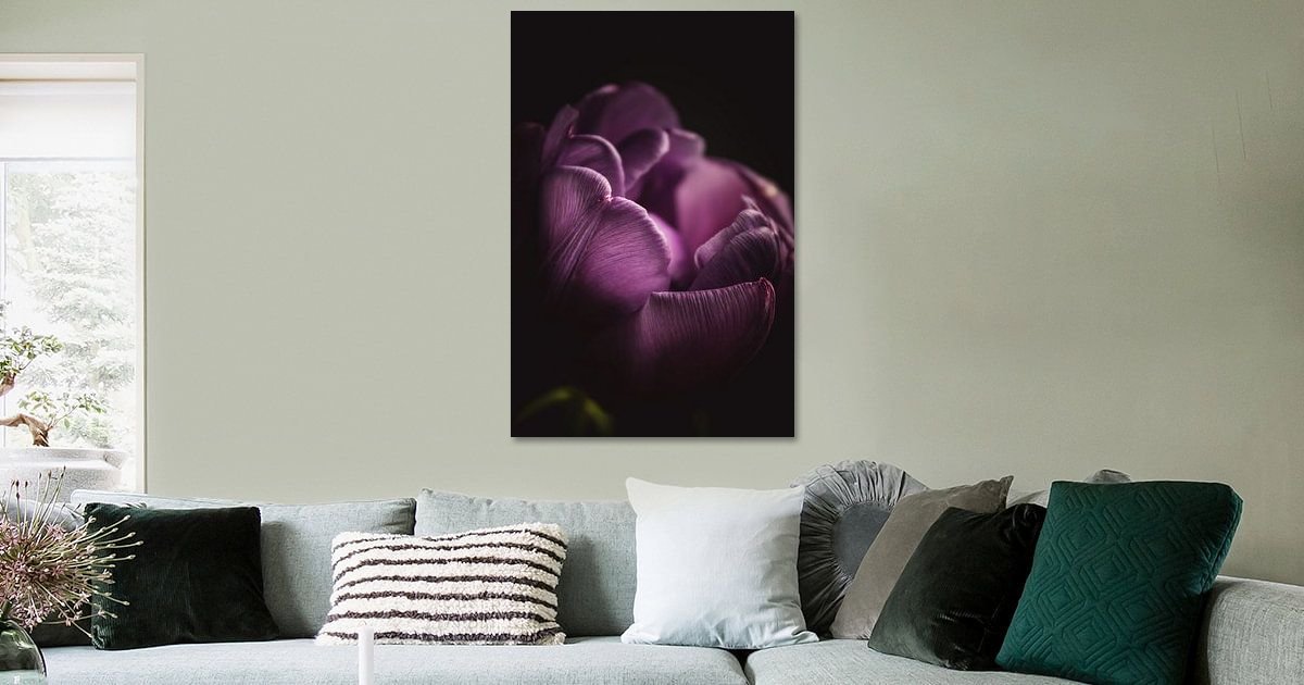 Paarse Tulp | Werk aan de muur bloemen van Sandra Hazes op canvas ...