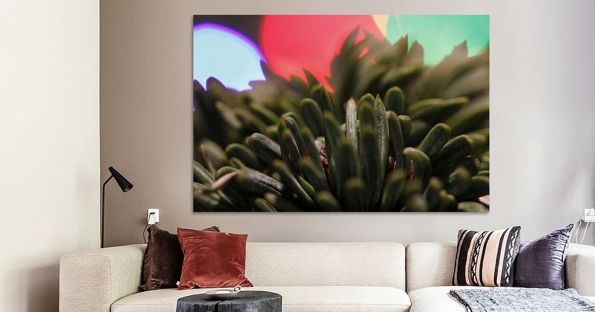 Mooie Droge naald kunst op canvas, behang en meer