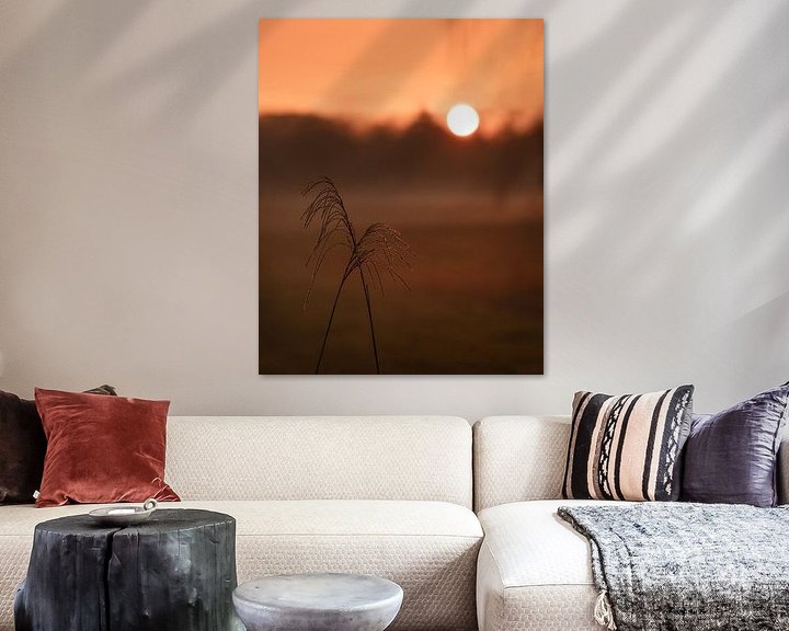 Rietpluimen bij gouden zonsondergang van Mayra Fotografie op canvas ...