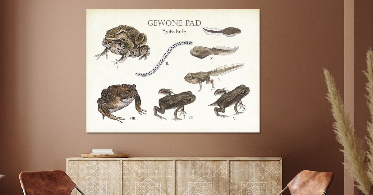 Life cycle of an ordinary path by Jasper de Ruiter on canvas, poster ...