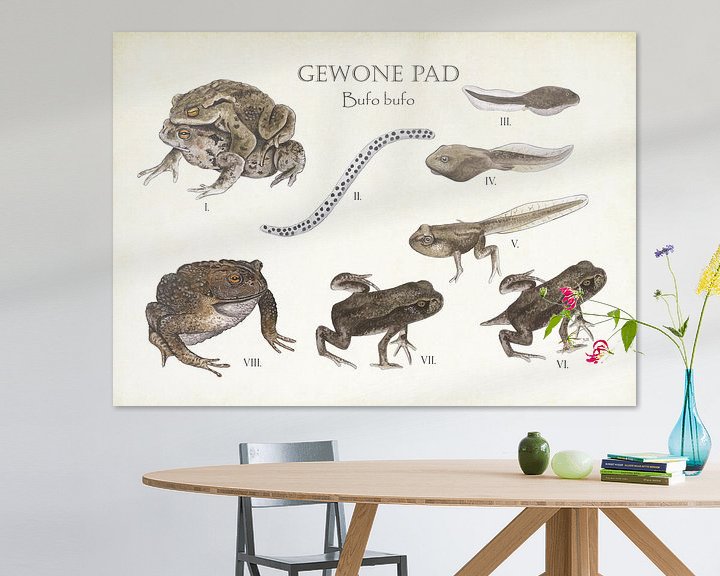 Life cycle of an ordinary path by Jasper de Ruiter on canvas, poster ...