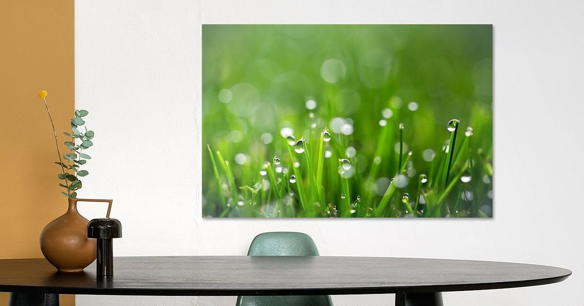 Order Beautiful Drops Art as Wall Art | Art Heroes