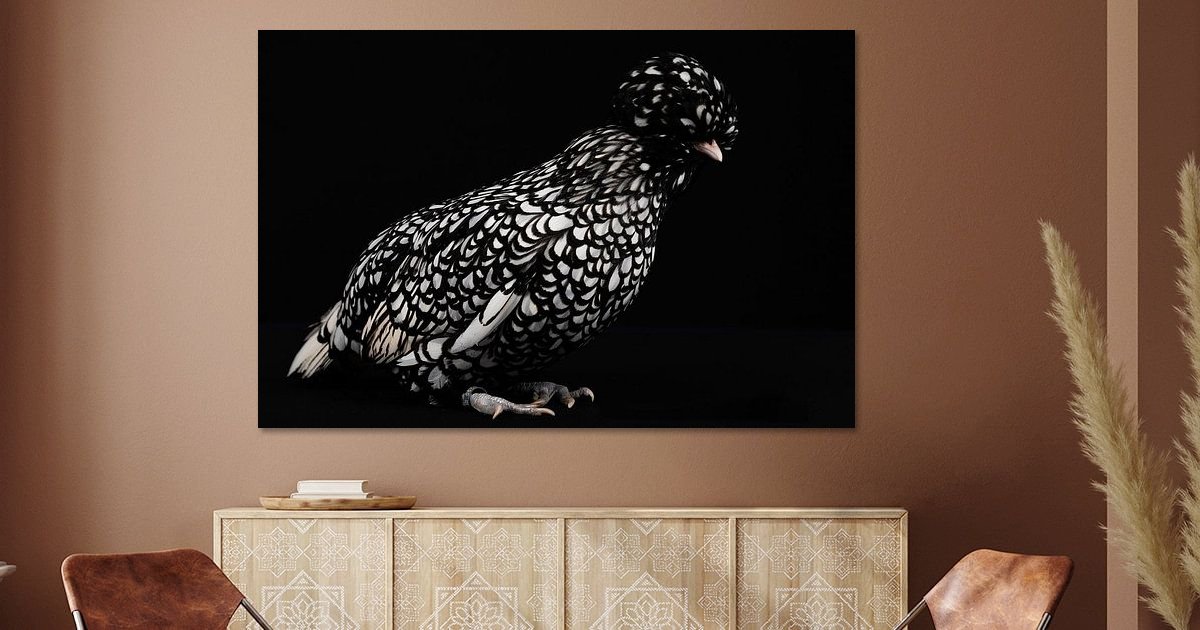 zilver zwartgezoomd padau kip van Kim Willems op canvas, behang en meer