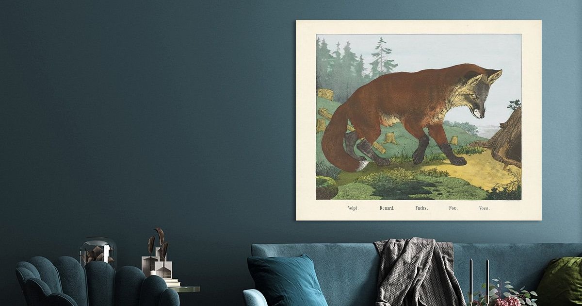 Volpi. / Renard. / Fuchs. / Fox. / Voss van R. Schulz, 1829 - 1880 op ...