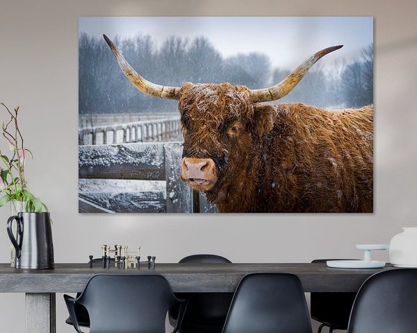 Prints uit de collectie van Amanda van den Berg / Fotografie Amanda