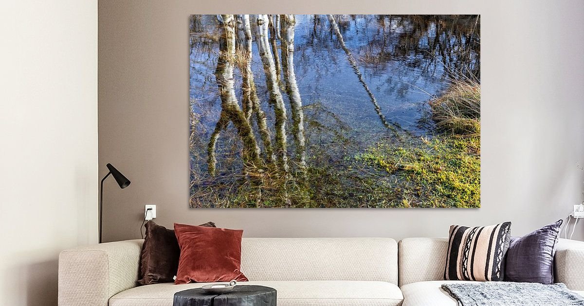 Berken in water van Cor de Bruijn Photography op canvas, behang en meer