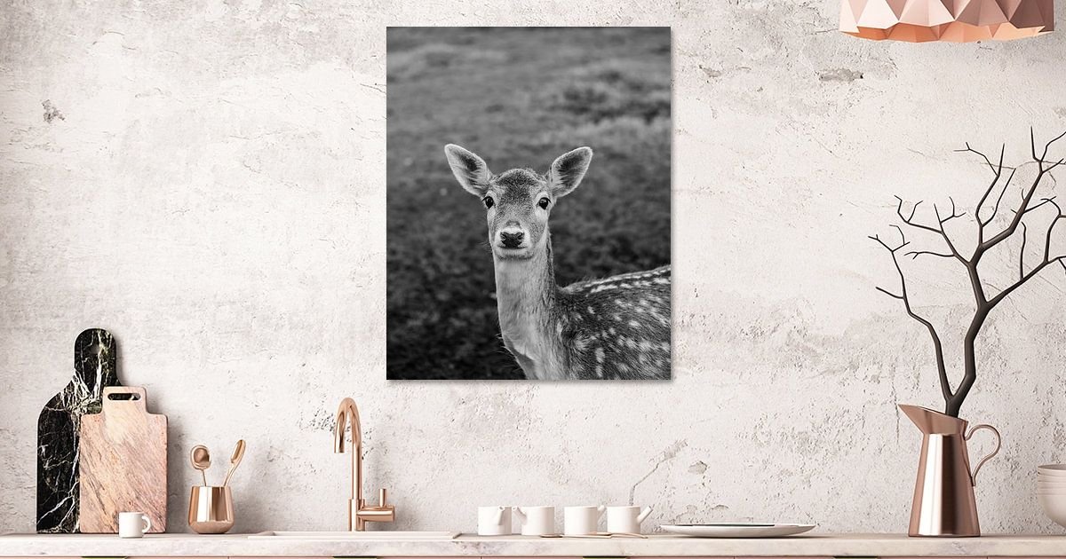 Herten met Karakter - nr. 1 Lief (zwart-wit) van Deborah de Meijer op ...