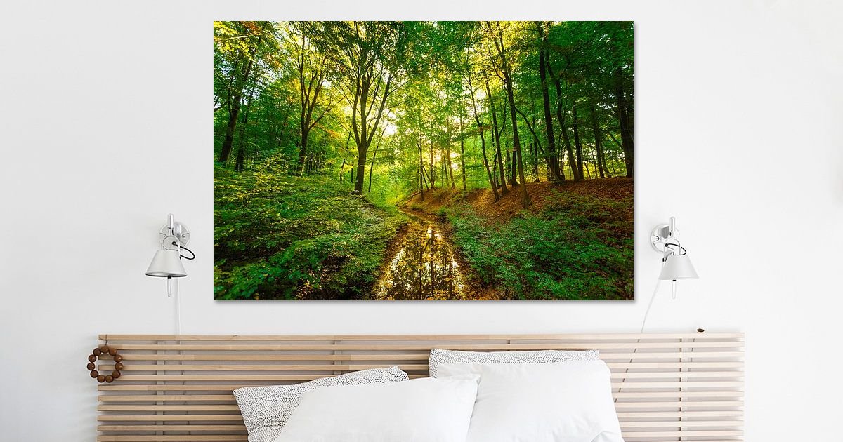 Prints uit de collectie van Alejandro Quezada