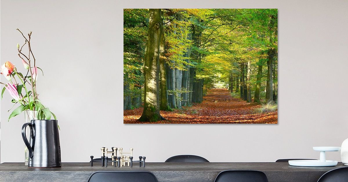 Bos met beuken van Corinne Welp op canvas, behang en meer