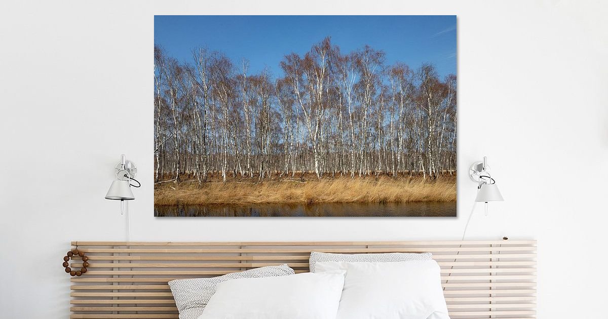 Berken langs de waterkant van Albert Mendelewski op canvas, behang en meer