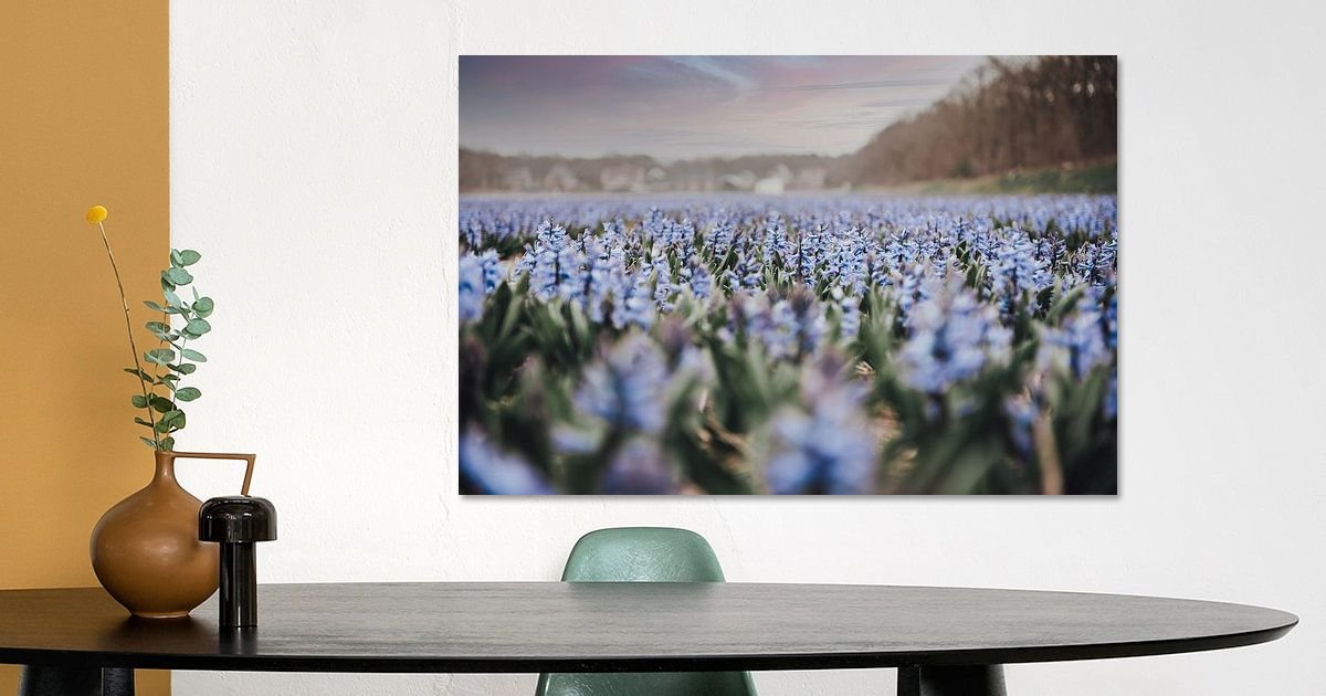 Veld met blauwe bloemen | Botanische fotografie | Nederland, Europa van ...