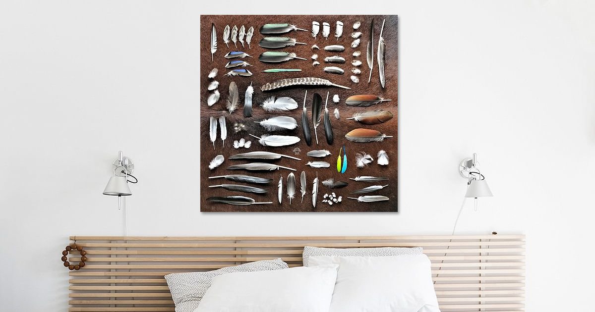 Vederlicht van Marco Roling op canvas, behang en meer