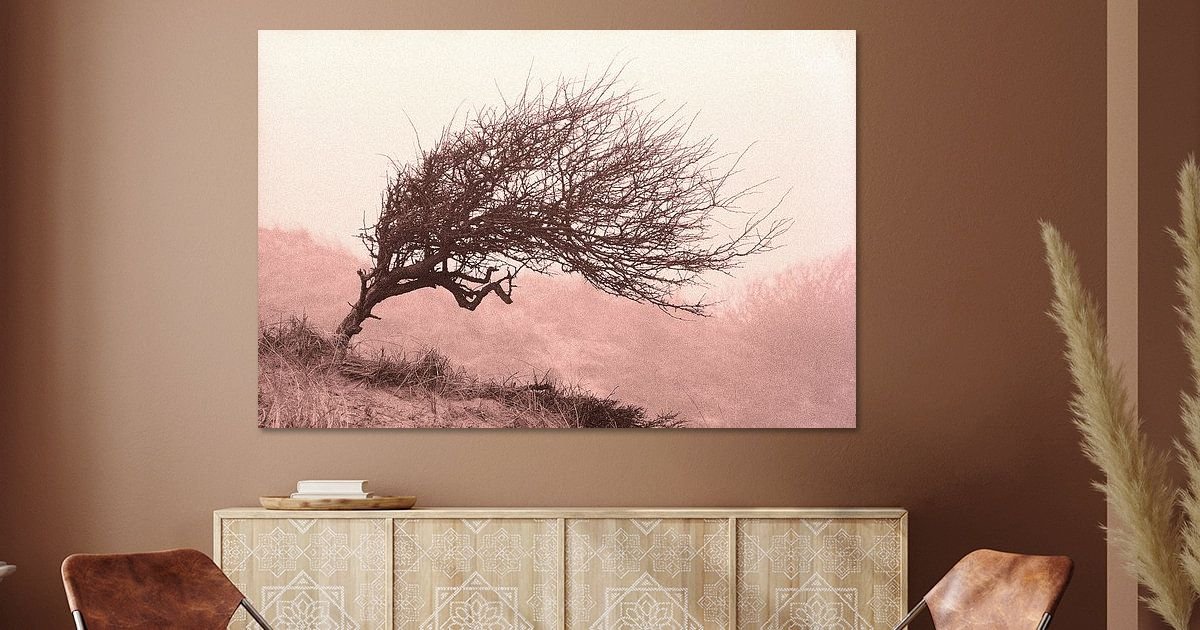 Divi-divi boom in de Katwijkse duinen. van Rens Kromhout op canvas ...