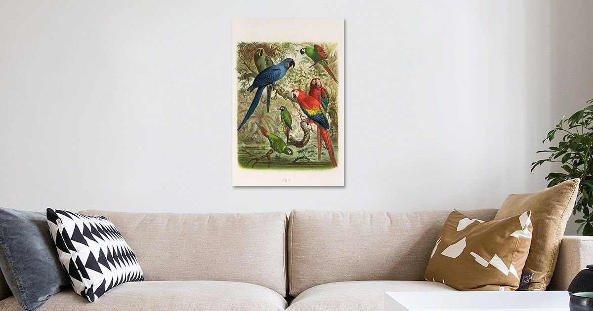 Birds of Paradise Art - Vibrant Prints & Custom-Made | Art Heroes