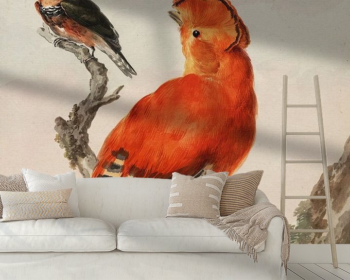 Oranje rotshaan en een ijsvogel (na 1730-voor 1792), Aert Schouwman van ...