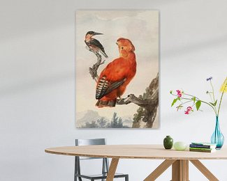 Oranje rotshaan en een ijsvogel (na 1730-voor 1792), Aert Schouwman van ...